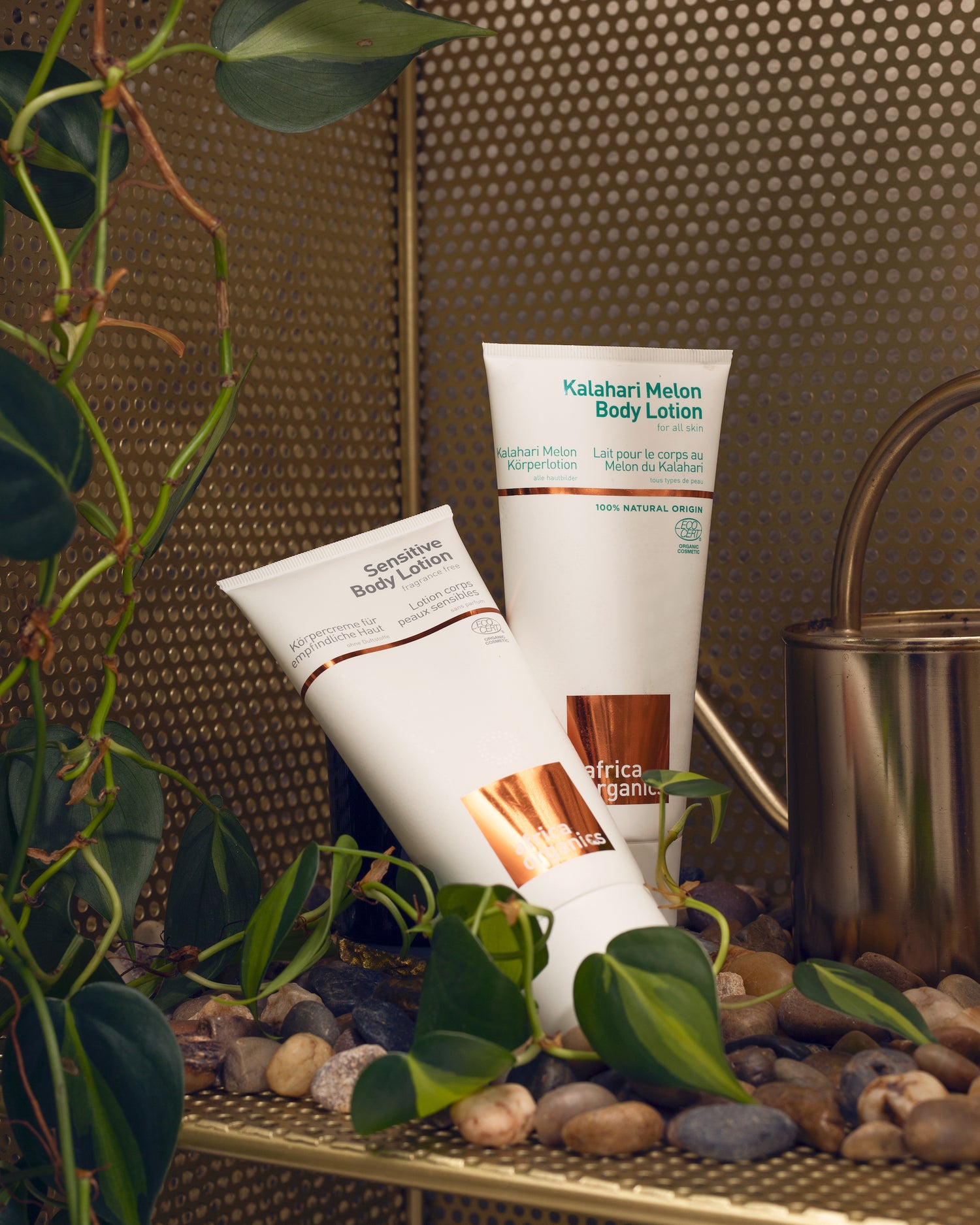 Collections – Africa Organics