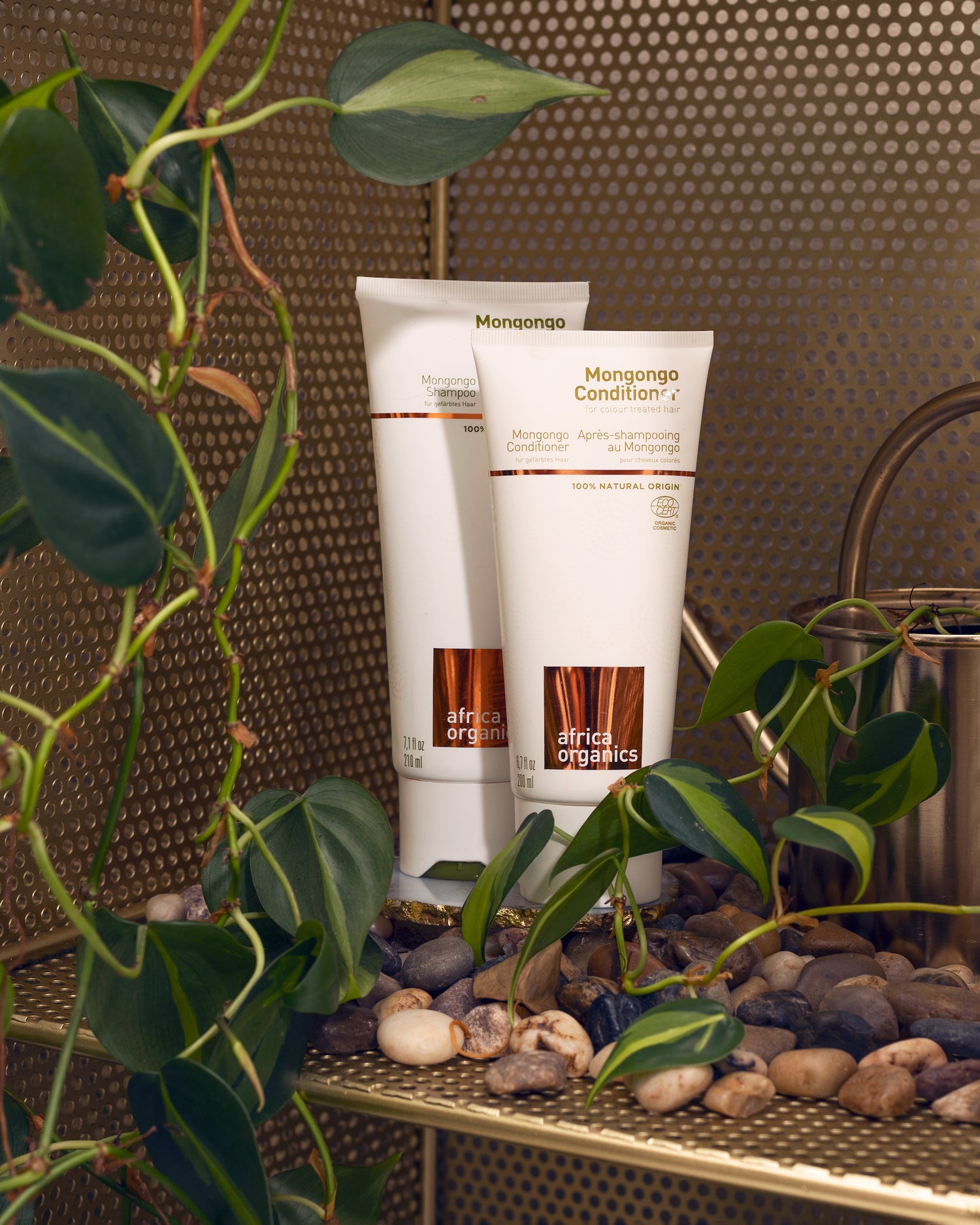 Collections – Africa Organics