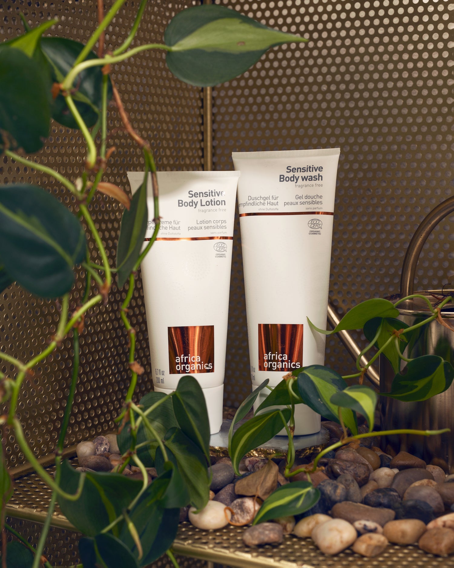 Collections – Africa Organics